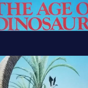 Children's Books: Reference/Facts – Books for Less Online Bookstore