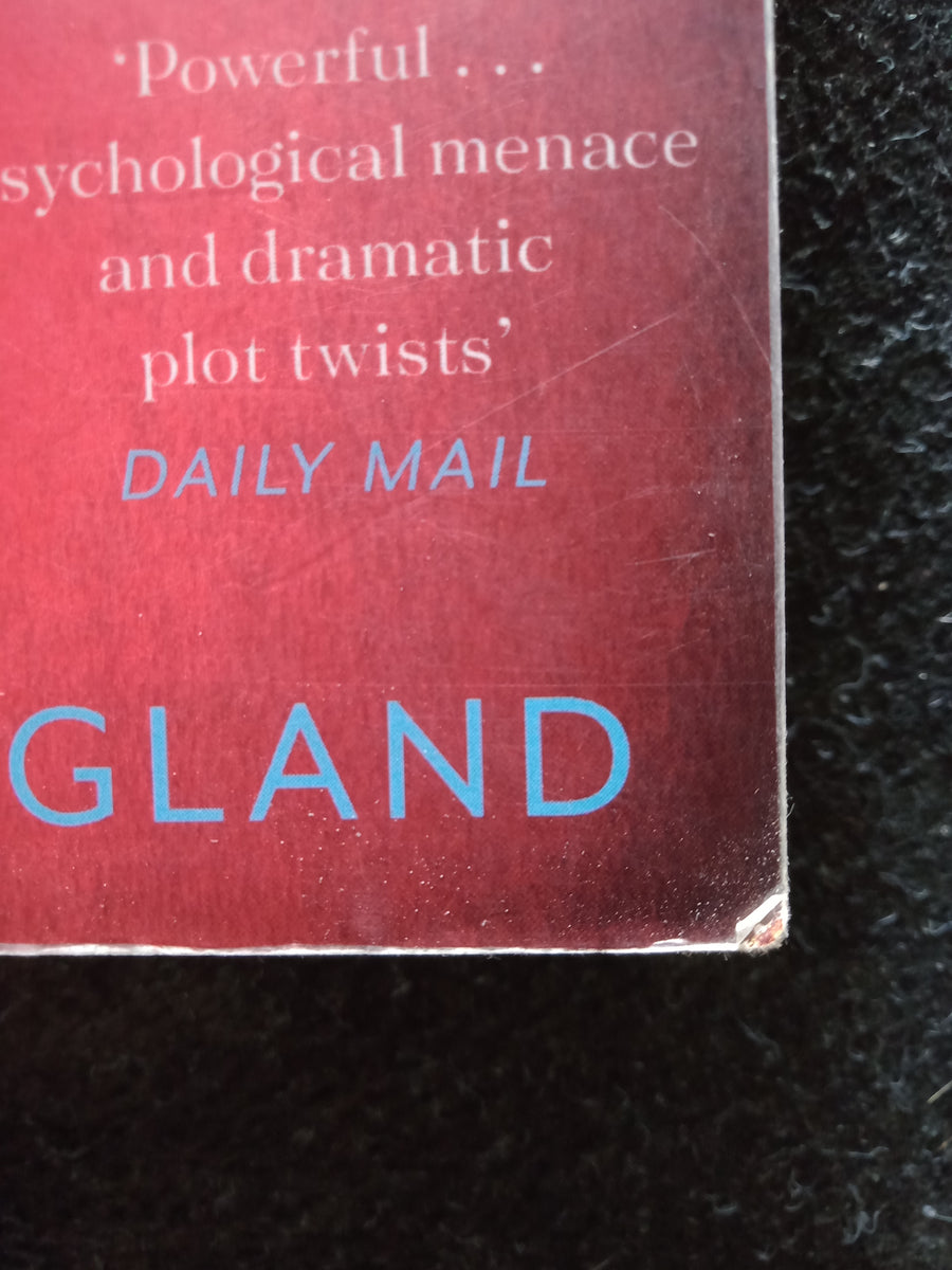 The Sinner by Caroline England – Books for Less Online Bookstore