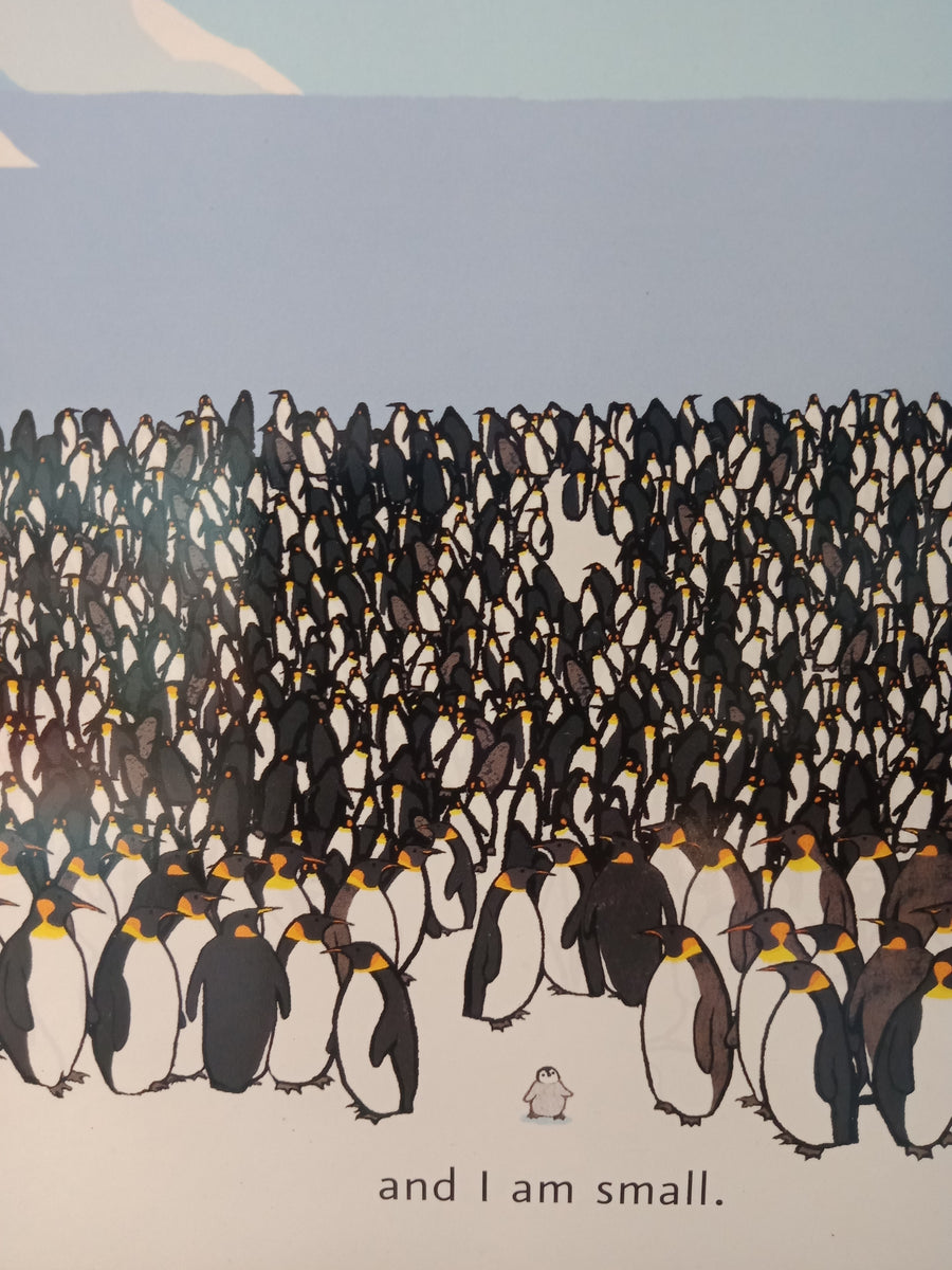 Me by Emma Dodd – Books for Less Online Bookstore