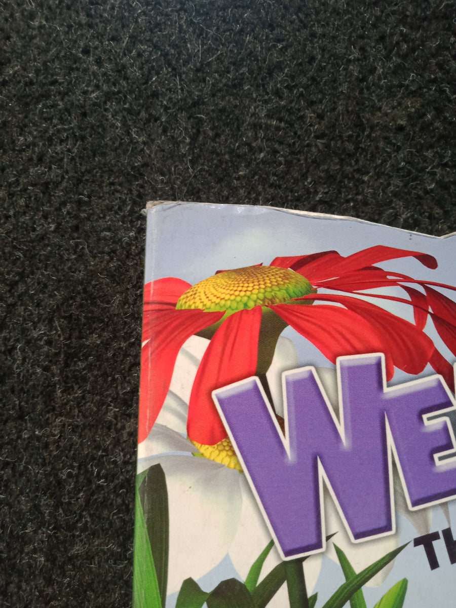 Webster The Scaredy Spider – Books for Less Online Bookstore