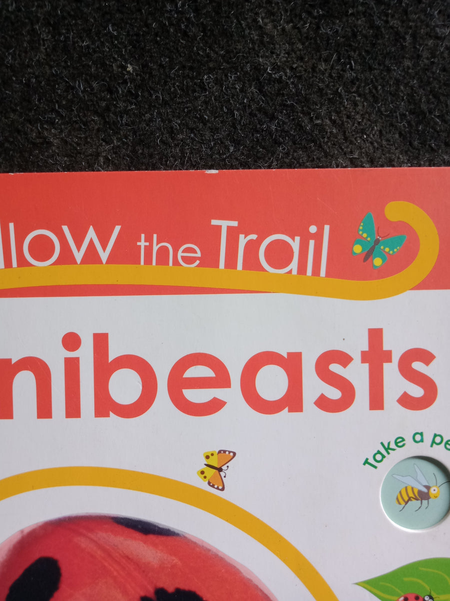 Follow The Trail Minibeasts – Books for Less Online Bookstore