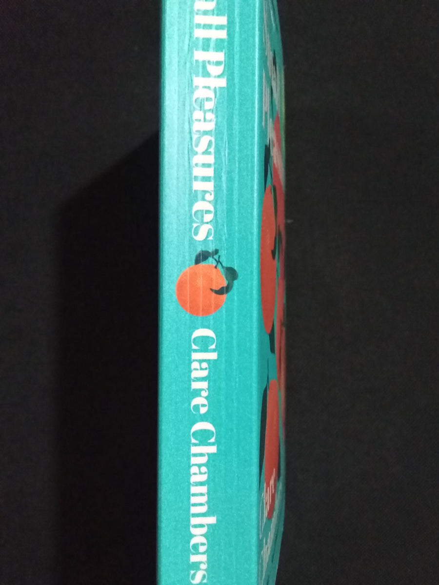 Small Pleasures By Clare Chambers – Books for Less Online Bookstore