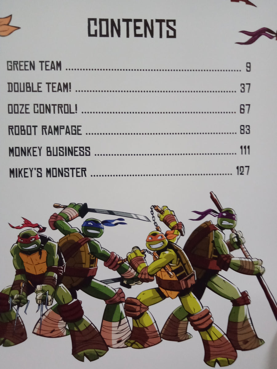 Teenage Mutant Ninja Turtles: Storybook Collection – Books for Less ...