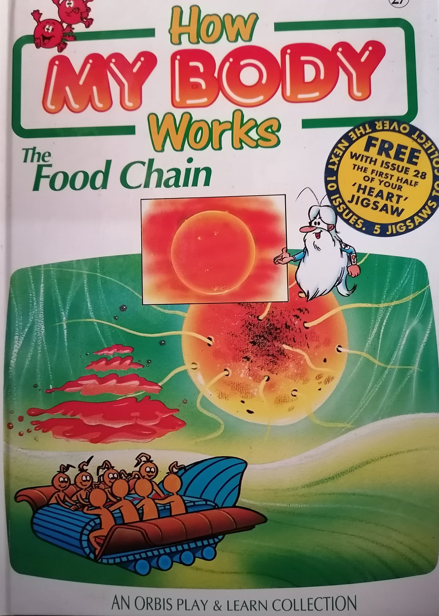 How My Body Works The Food Chain – Books for Less Online Bookstore