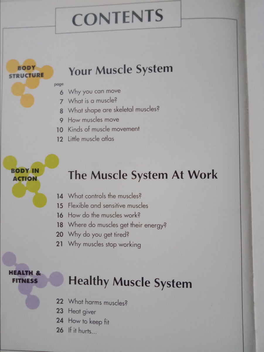 How My Body Works The Muscles – Books for Less Online Bookstore