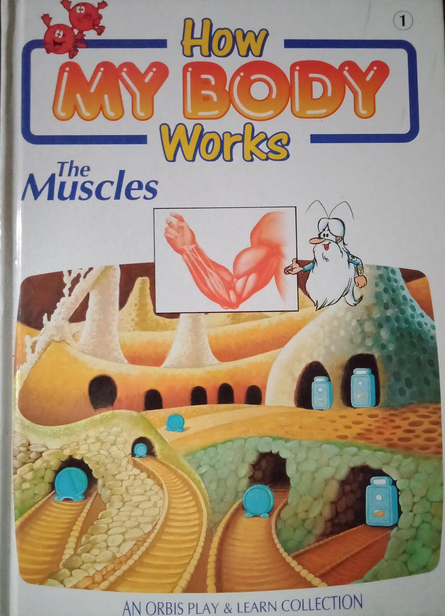 How My Body Works The Muscles – Books for Less Online Bookstore